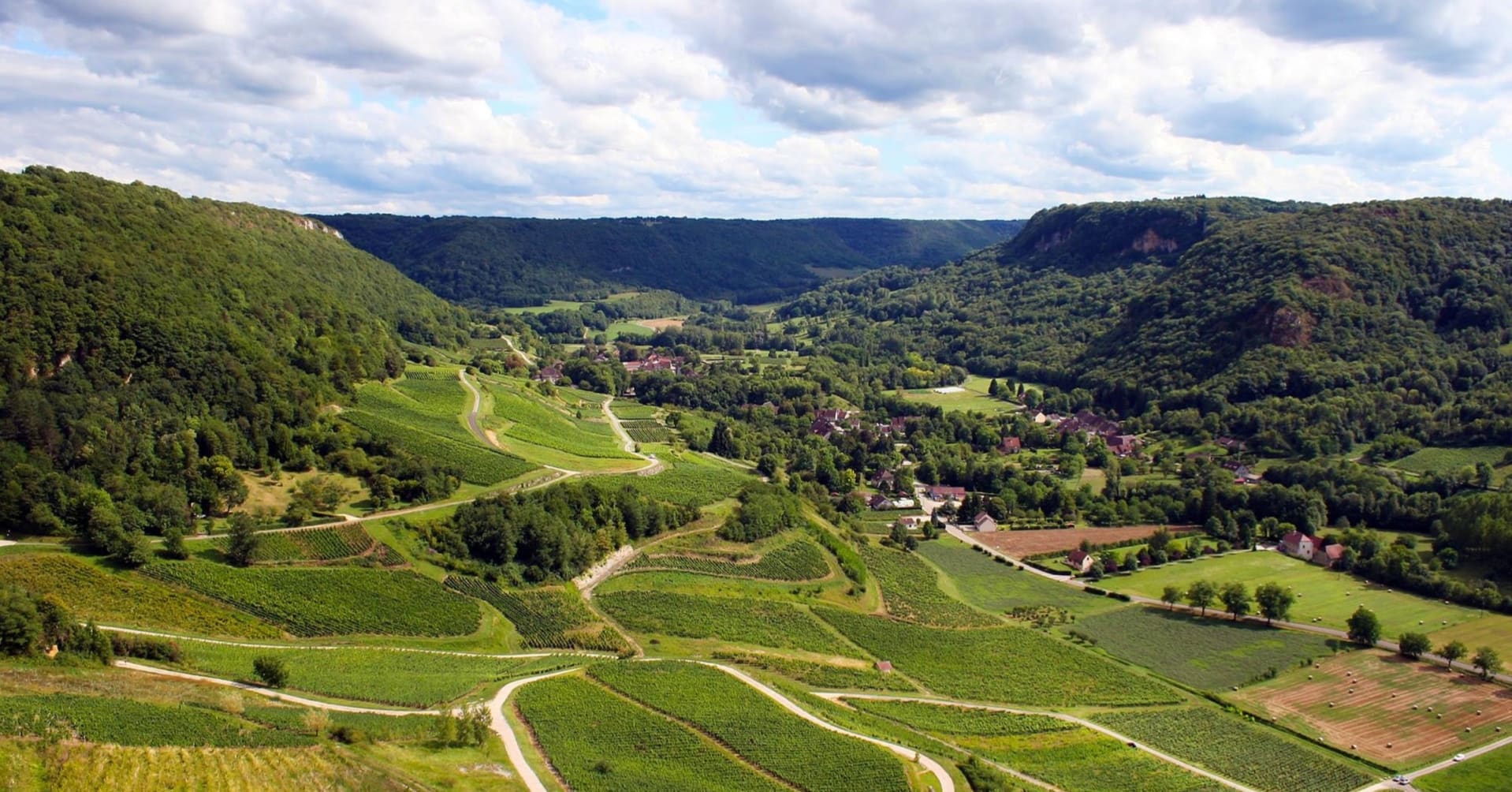 Qué es un agrónomo: todo lo que debes saber – Trabajo Sí Hay